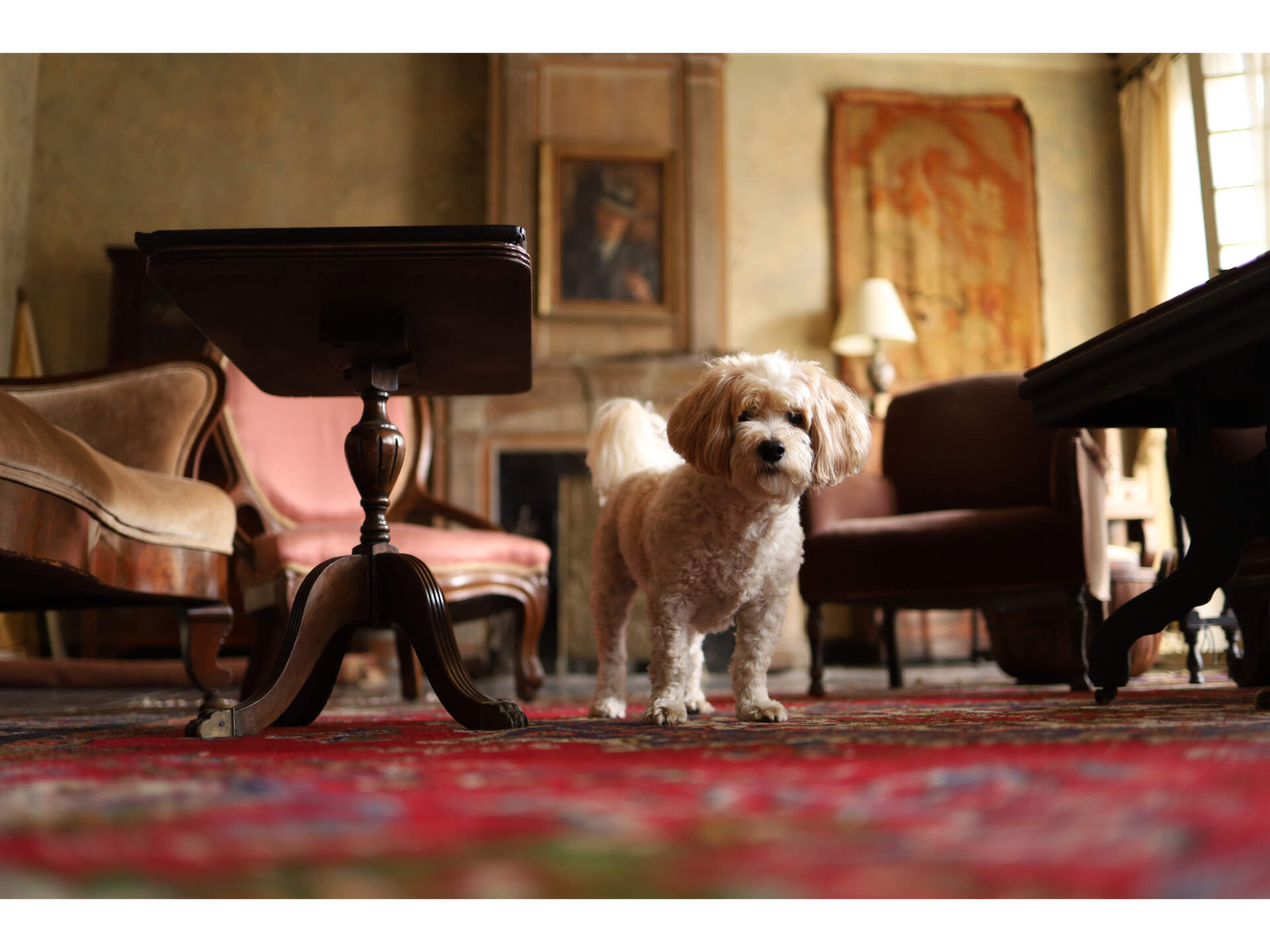 NEW Canon EOS RP vs R (Comparison Chart)