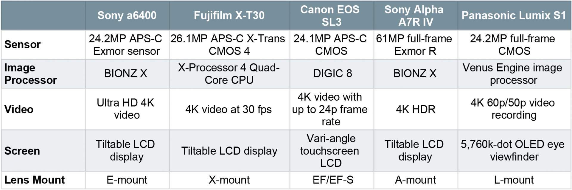 18 Best Travel Cameras 2019 - Point-and-Shoot, Bridge, Action, Multi-Lens