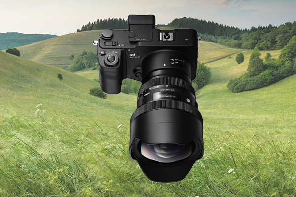 Best Sigma Lenses For Landscape, Portrait & Street Photography