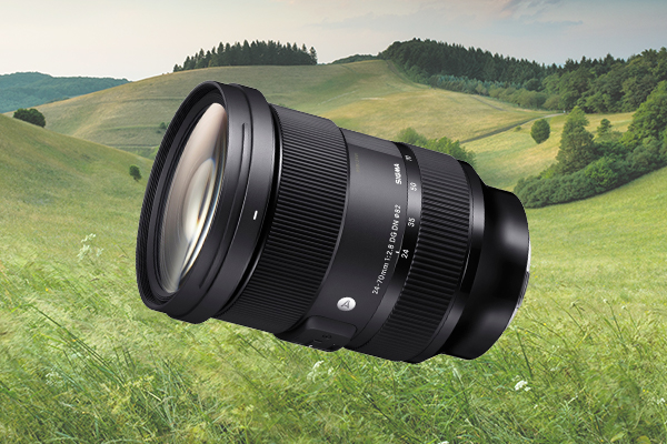 Best Sigma Lenses For Landscape, Portrait & Street Photography