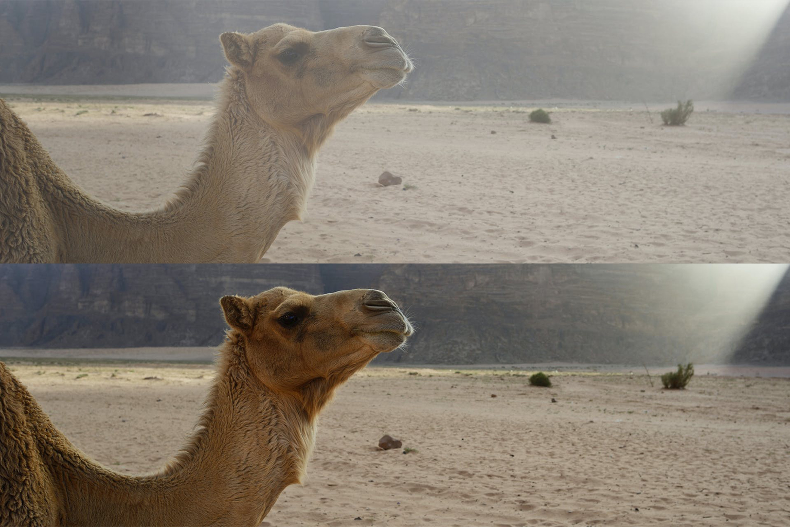 The ZEISS Look – Why Every Photographer Should Try a ZEISS Lens - Focus ...