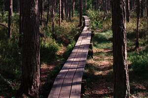 Balance in Photography | Symmetrical, Asymmetrical & Radial Balance ...