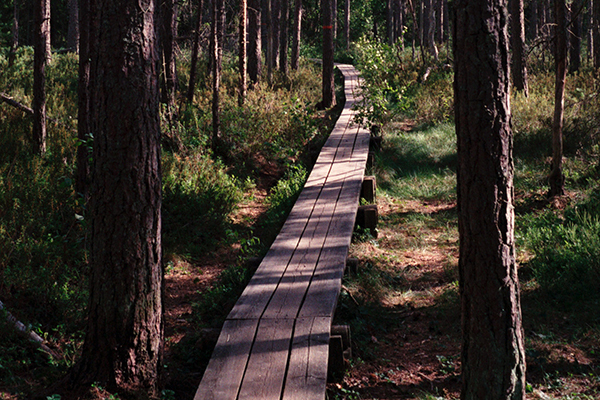 Balance in Photography | Symmetrical, Asymmetrical & Radial Balance ...