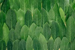 How to Use Repetition & Patterns in Photography - Focus Camera