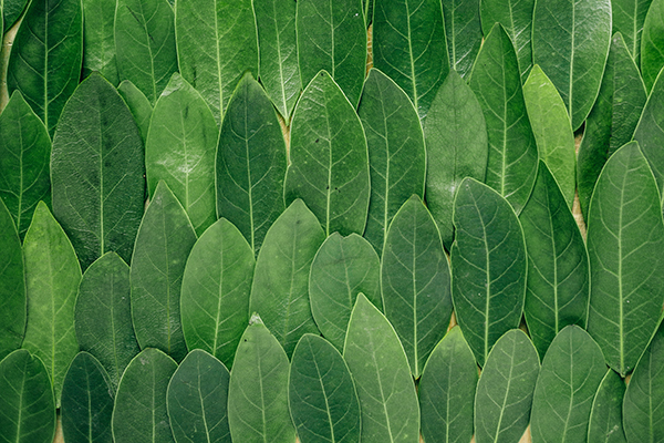 How to Use Repetition & Patterns in Photography - Focus Camera