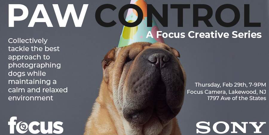 "Paw Control" A Focus Creative Series - Focus Camera